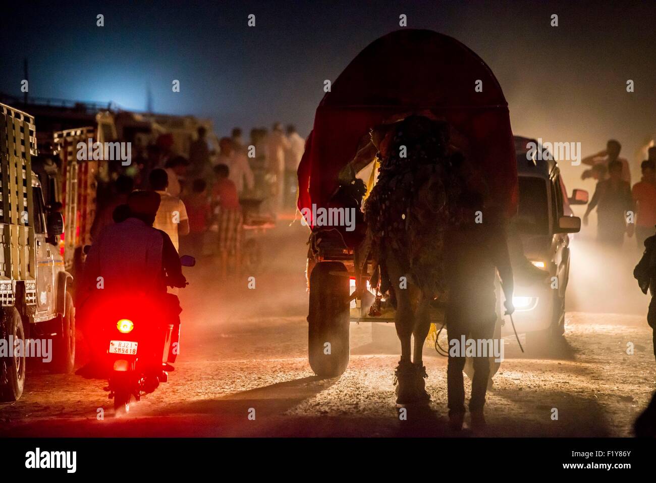 India, Rajasthan state, Pushkar, the Pushkar cattle fair Stock Photo ...