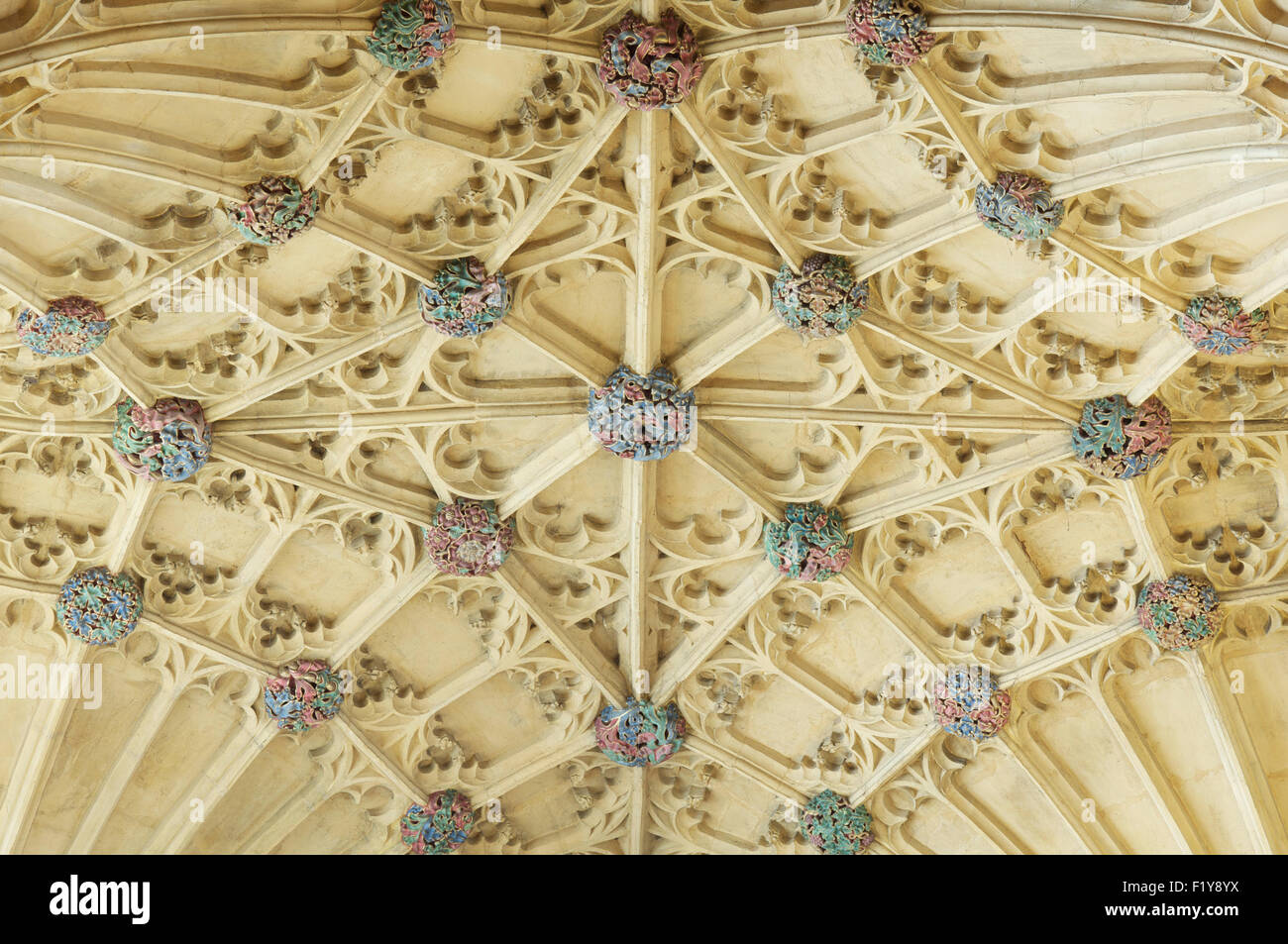 A detail of the colourful bosses of the ornate Gothic fan vaulted ...