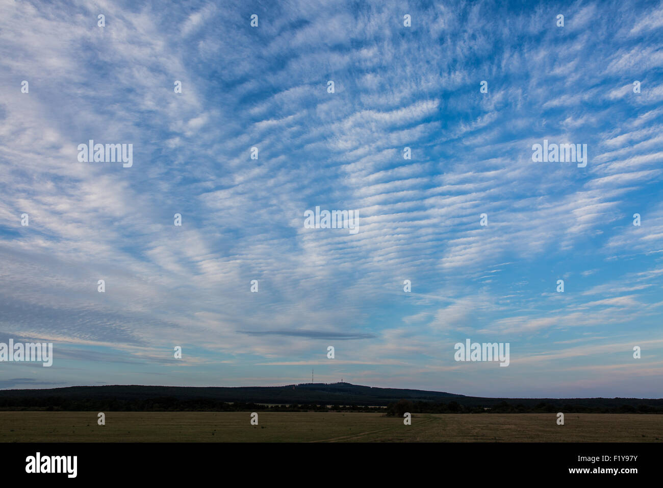 cirrus clouds formation with blue sky background Stock Photo - Alamy