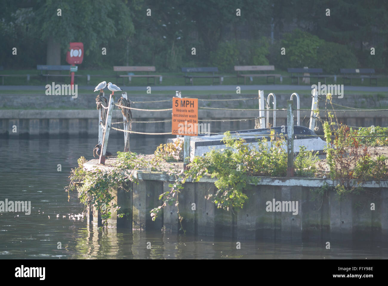 Life ring and the river thames hi-res stock photography and images - Alamy