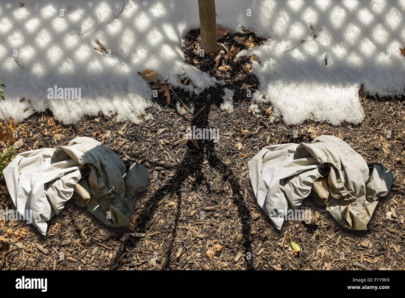 Ground covers hi-res stock photography and images - Alamy