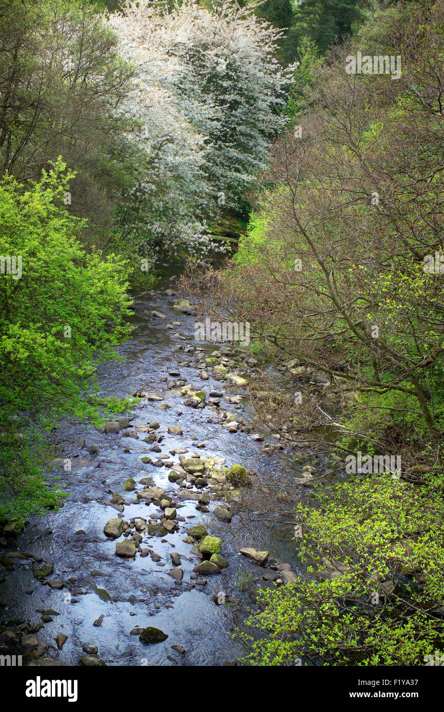 Allen valley hi-res stock photography and images - Alamy