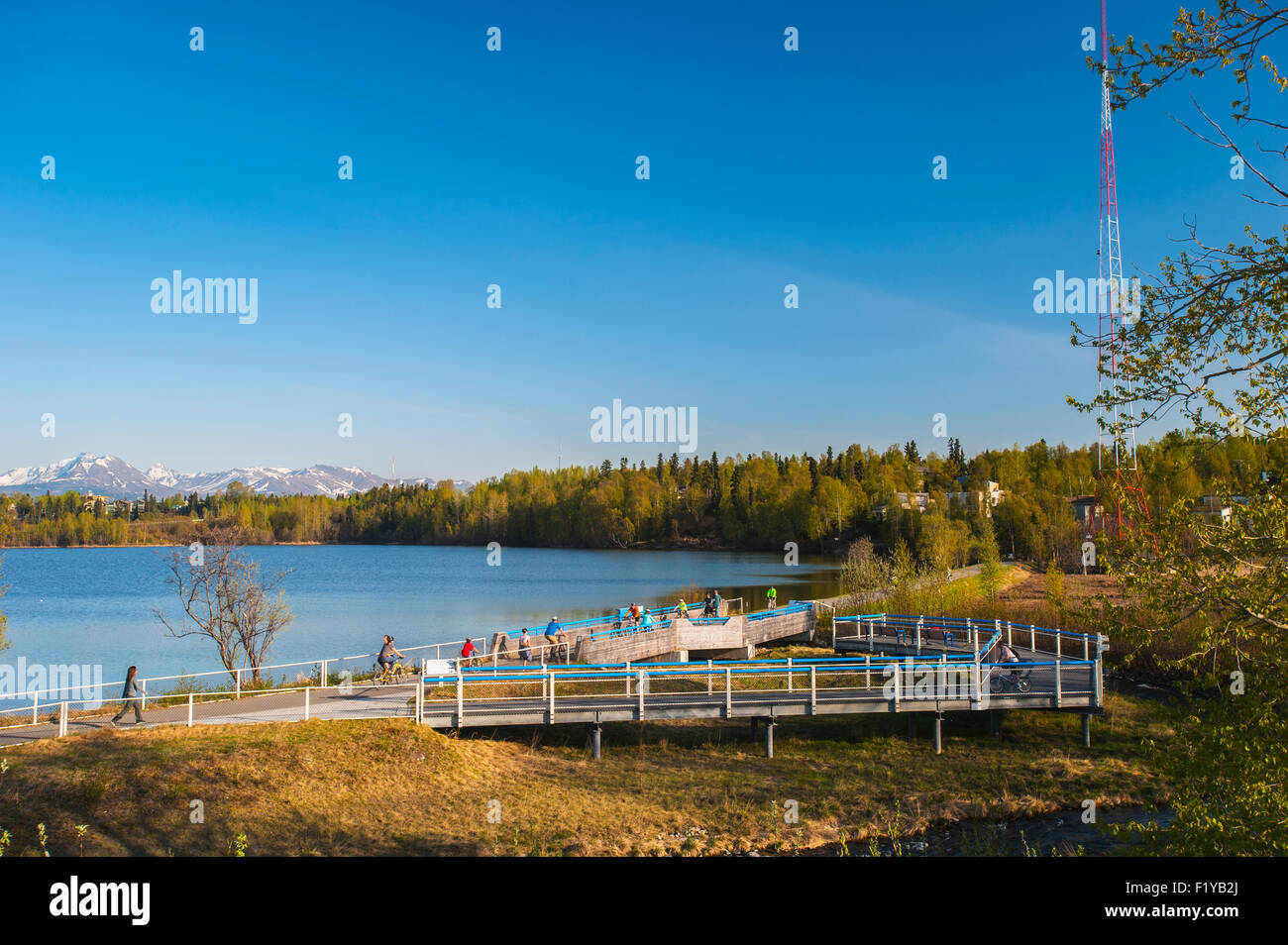 Alaska bridge trail hi-res stock photography and images - Alamy