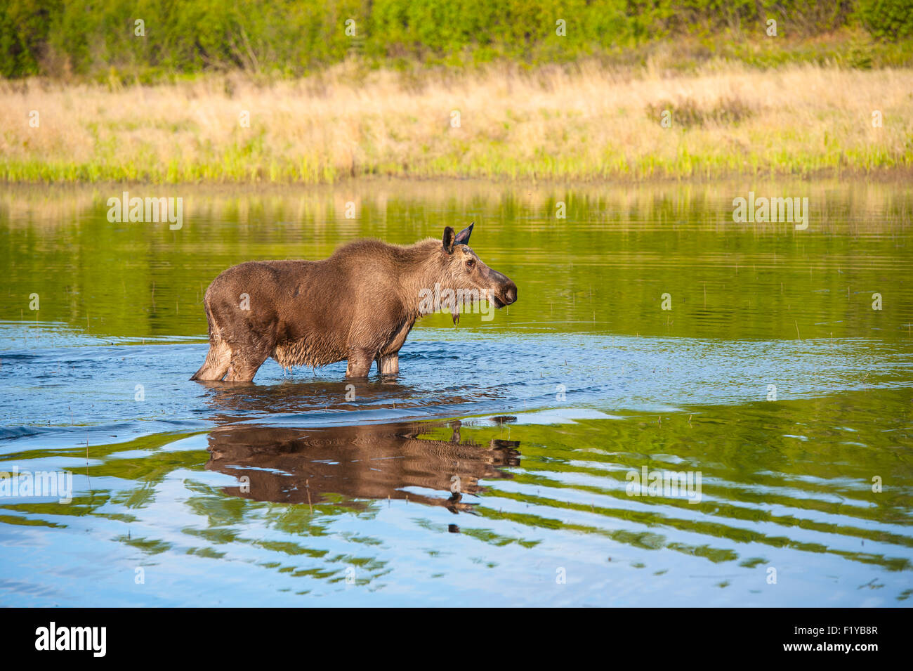 Kincaid lake hi-res stock photography and images - Alamy