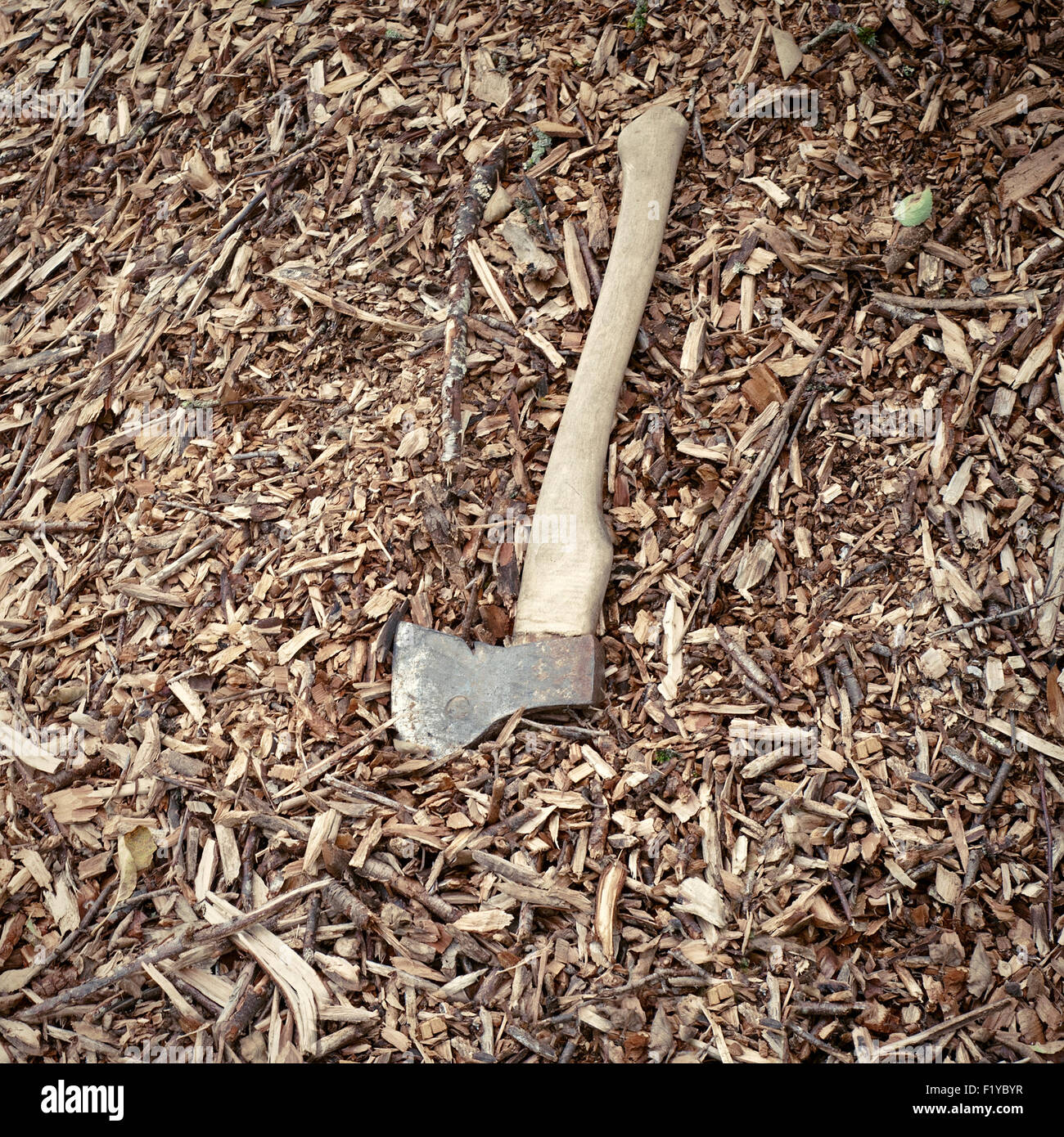 ax with wooden handle Stock Photo - Alamy