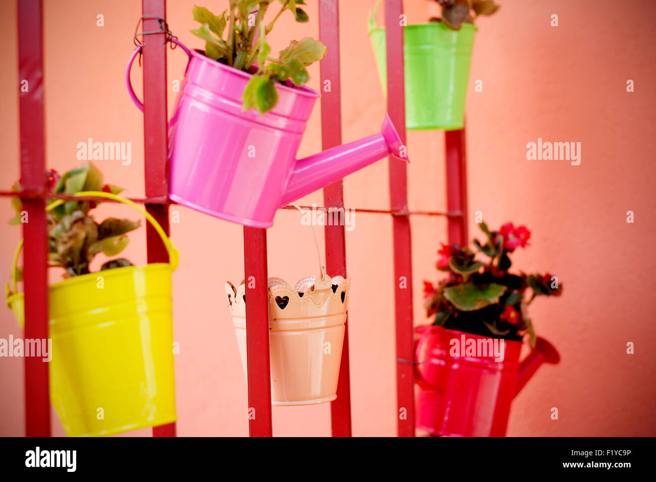 Beautiful colorful idea for small flower pots in home garden where ...