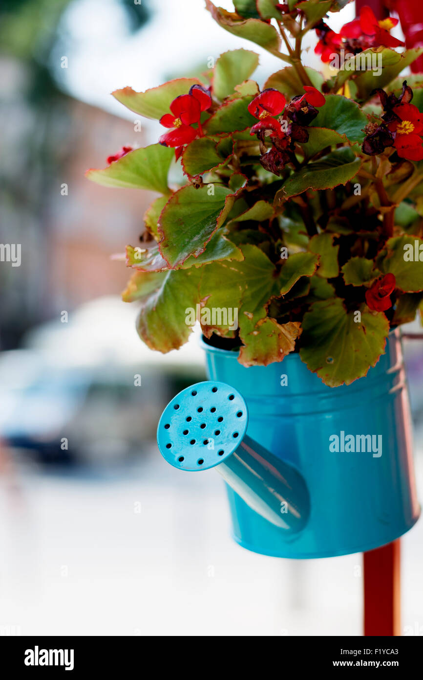 Beautiful colorful idea for small flower pots in home garden where ...