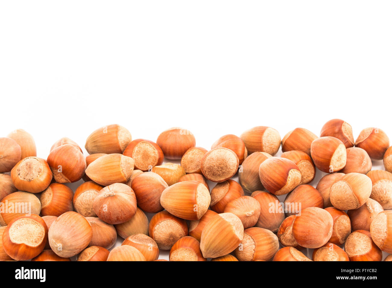 Hazelnuts on a white background Stock Photo - Alamy