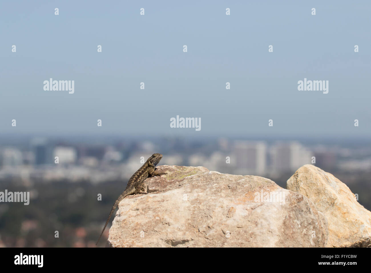 Sunning your self hi-res stock photography and images - Alamy