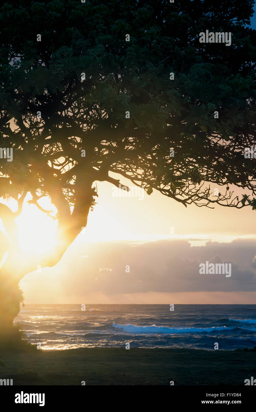 Beach,Lydgate Beach Park,Sunrise,Hawaii Stock Photo - Alamy
