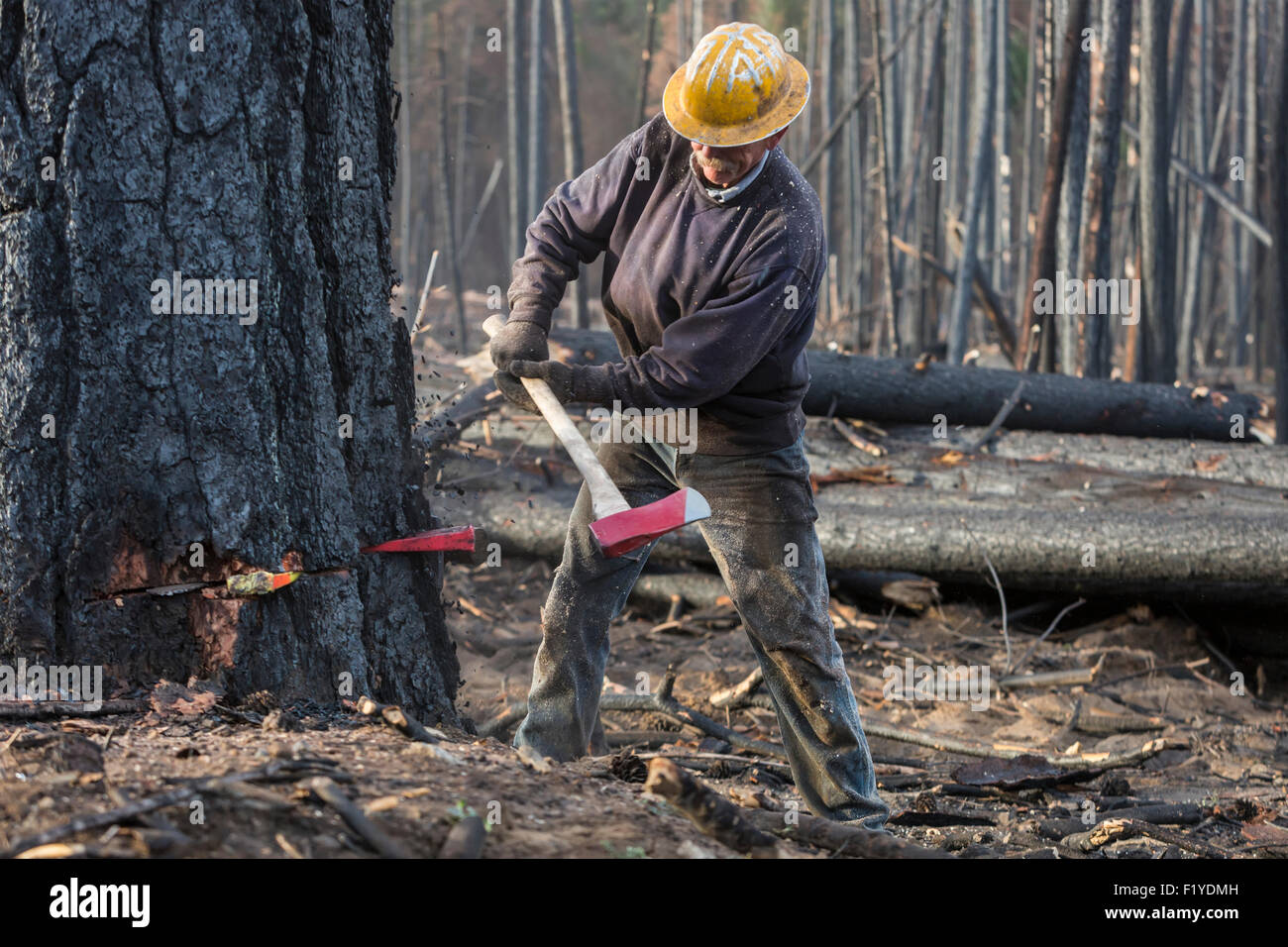 Axe damage hi-res stock photography and images - Alamy