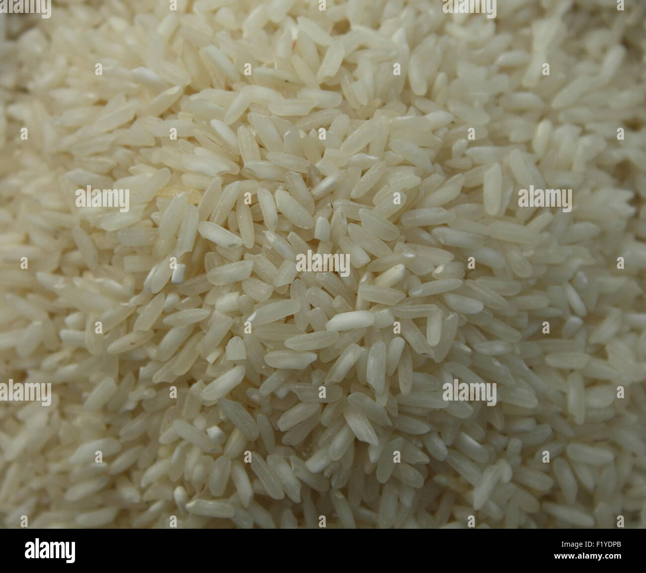 close up of dry white rice Stock Photo - Alamy