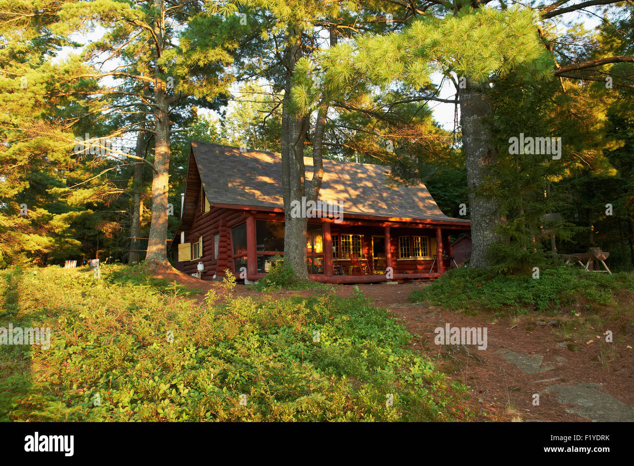 Cabin driveway hi-res stock photography and images - Alamy