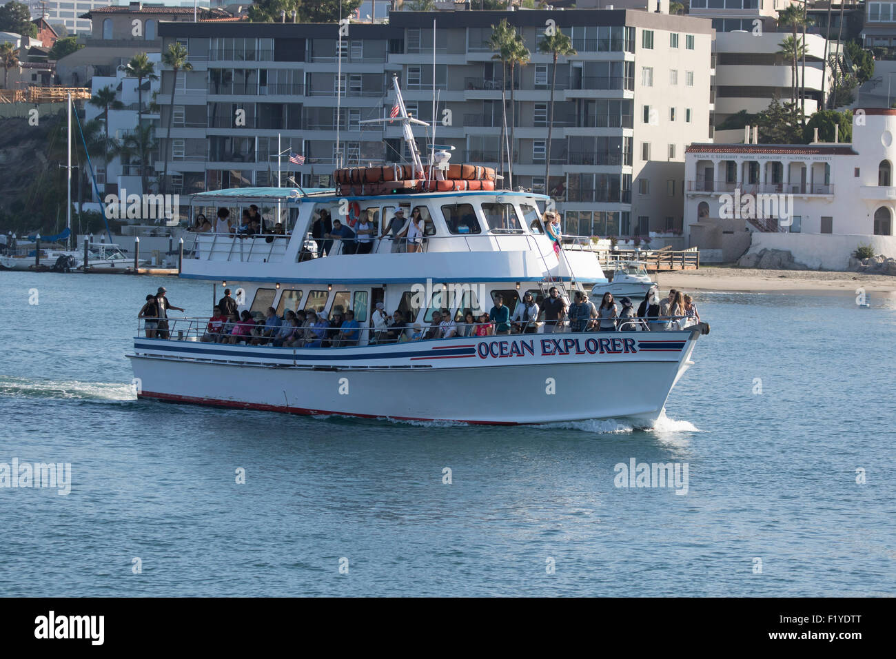 Passengers on the Ocean Explorer whale watching boat out of Newport ...