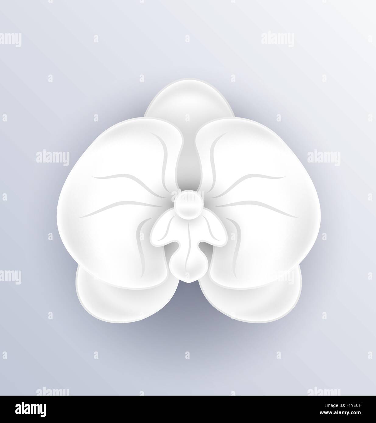 Cutout flower - beautiful orchid, paper craft Stock Vector Image & Art ...