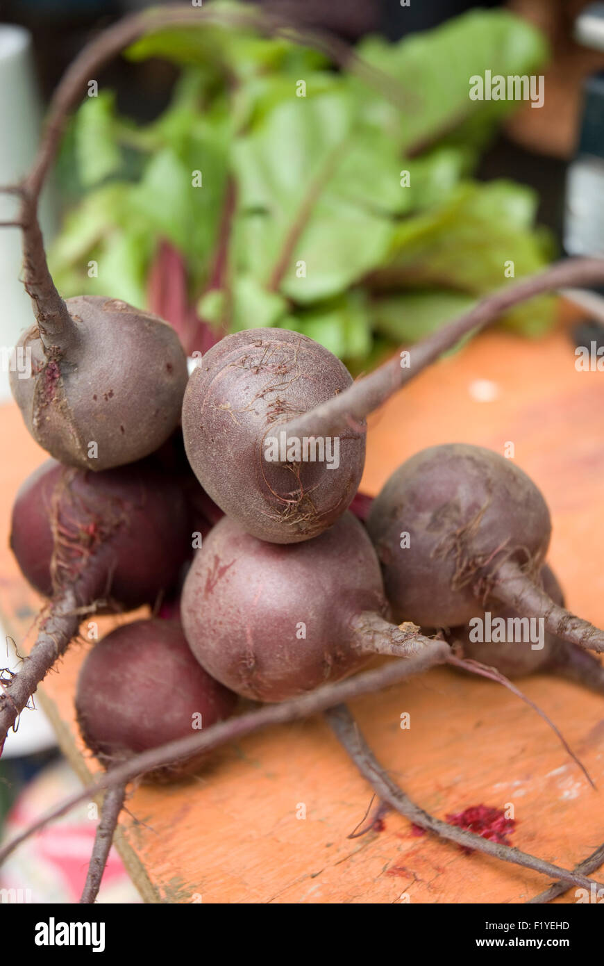 Mcu image hi-res stock photography and images - Alamy