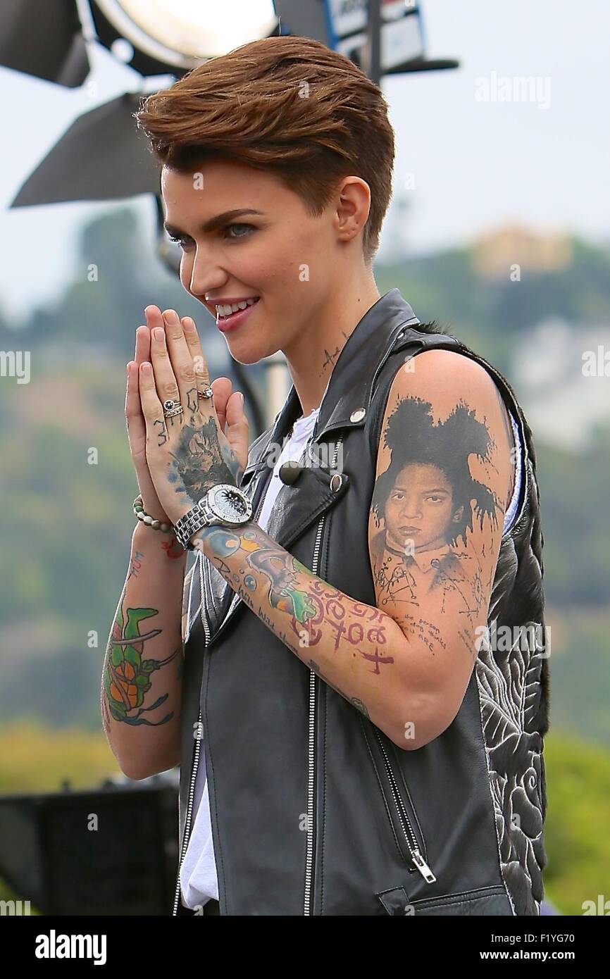 Ruby rose where hi-res stock photography and images - Alamy
