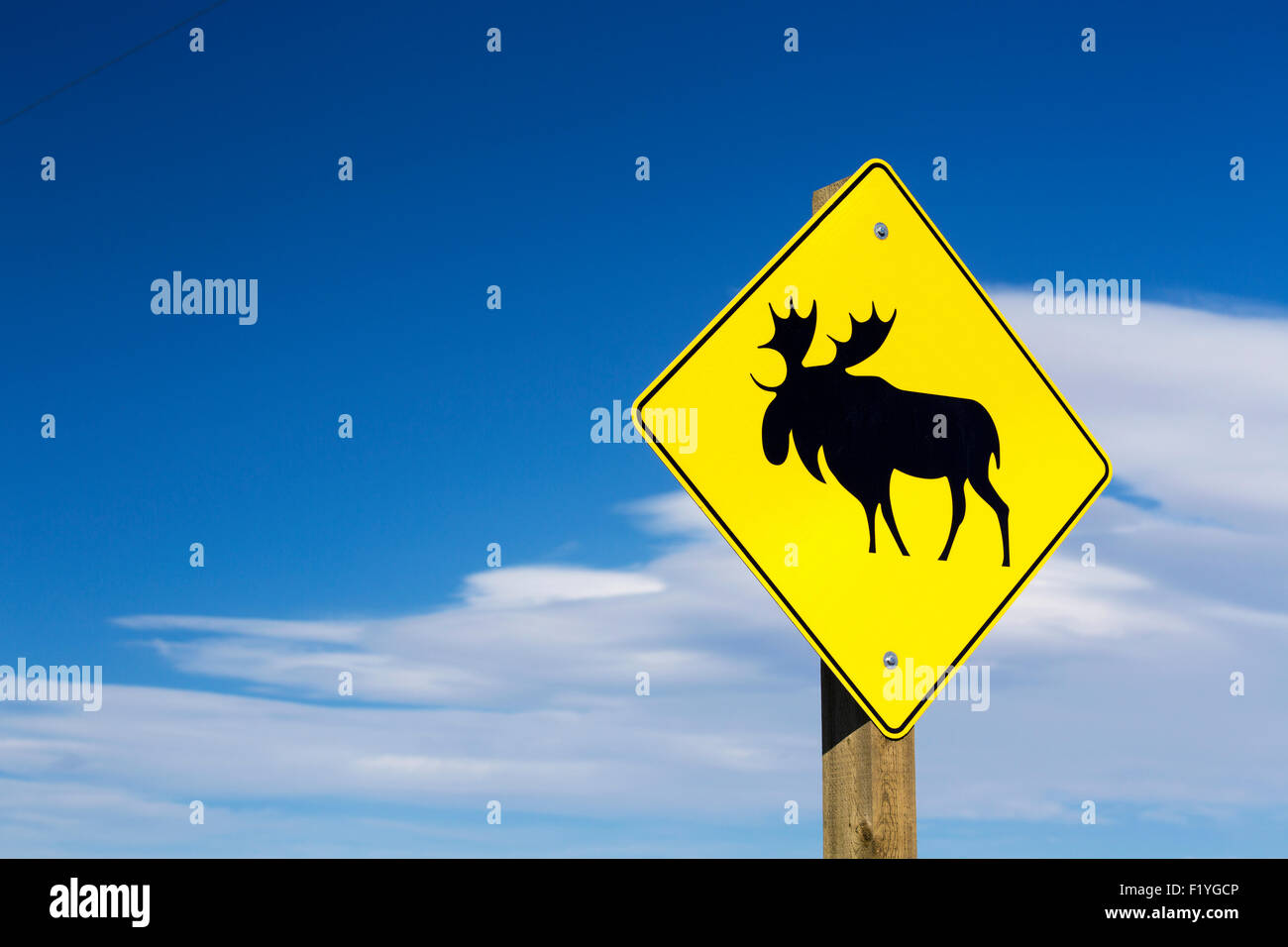 Moose crossing road sign hi-res stock photography and images - Alamy
