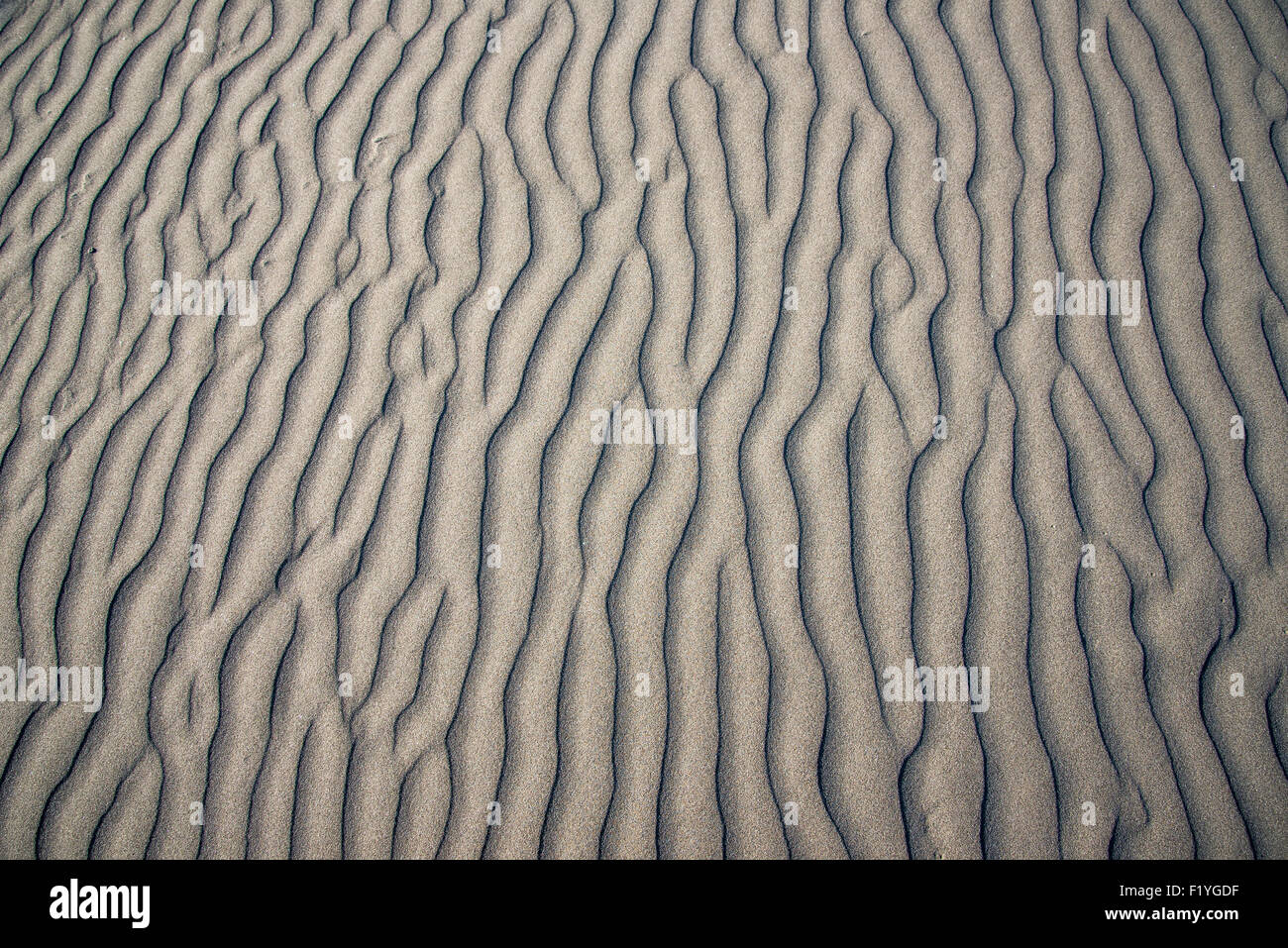 Gearhart oregon hi-res stock photography and images - Alamy