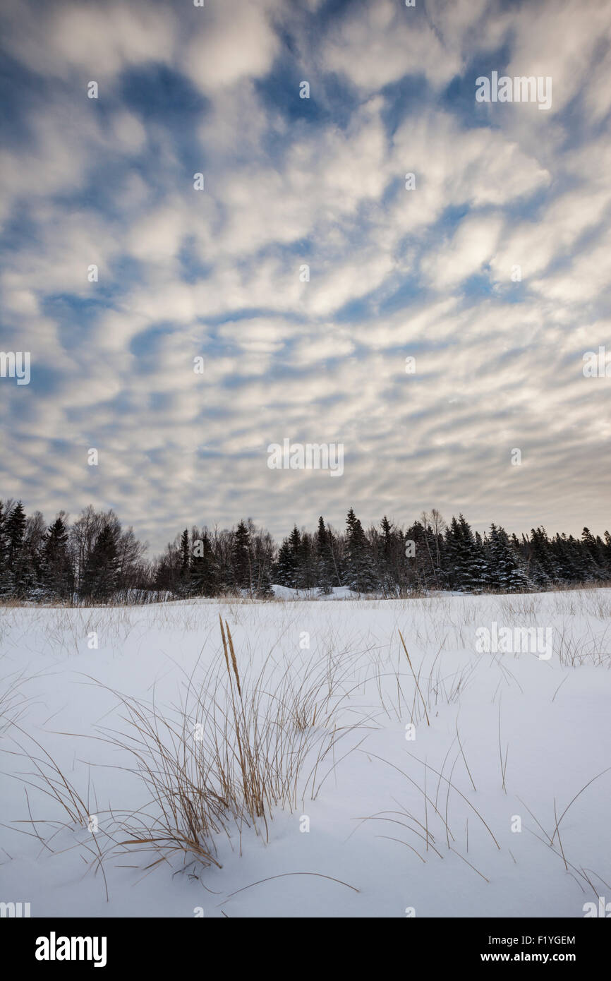 Cloudy with snow hi-res stock photography and images - Alamy