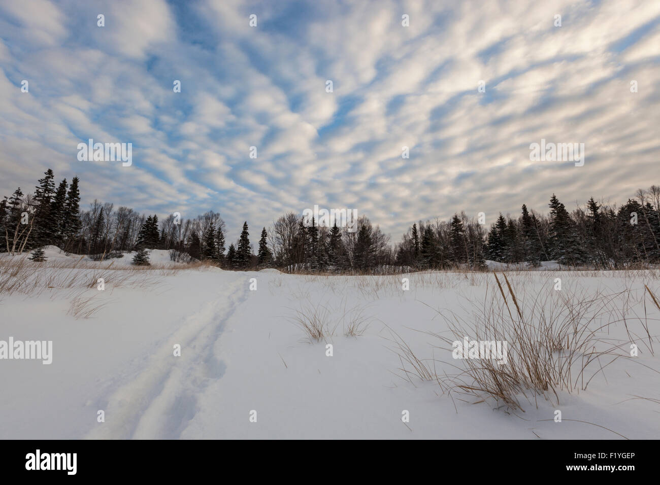 Cloudy with snow hi-res stock photography and images - Alamy