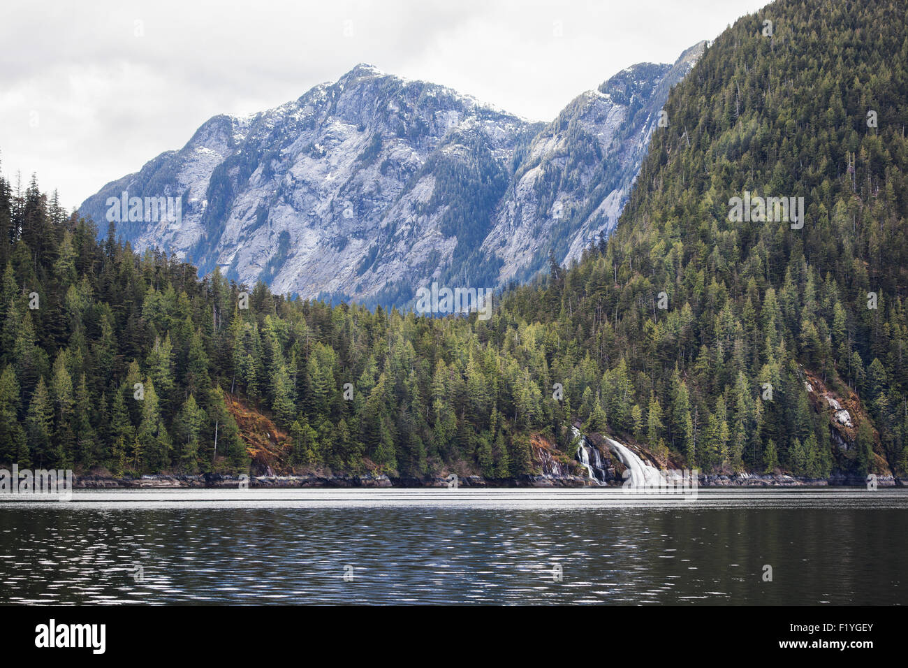 Princess royal island hi-res stock photography and images - Alamy