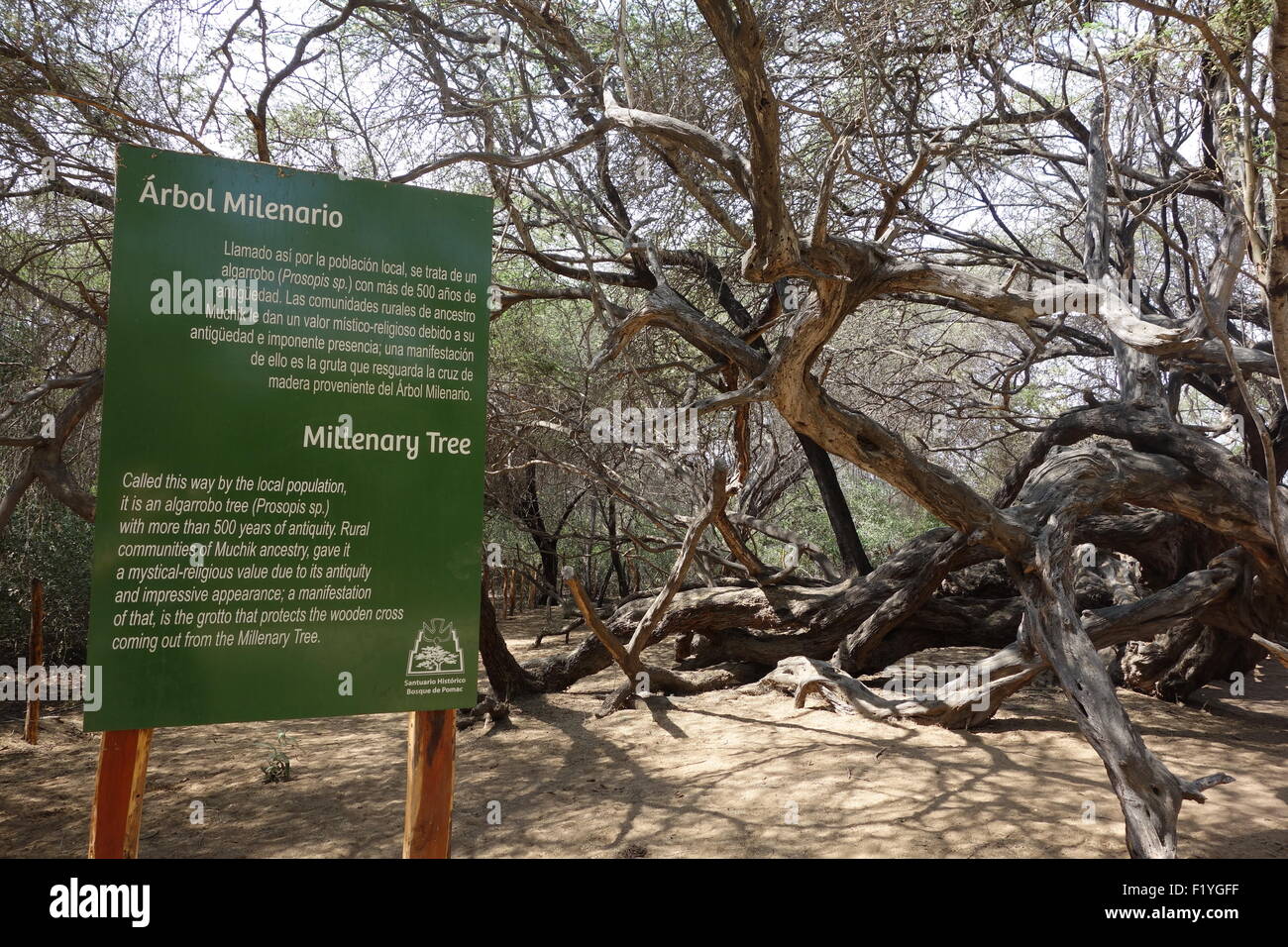 Batan Grande and the Bosque de Pomac (Pomac forest), an archaeological ...