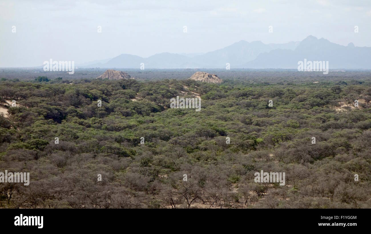 Batan Grande and the Bosque de Pomac (Pomac forest), an archaeological ...