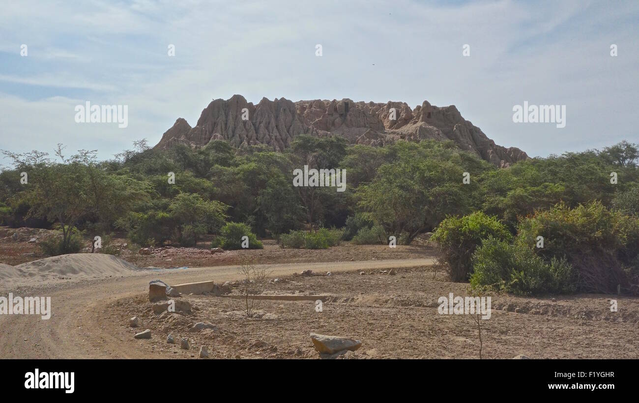 Batan Grande and the Bosque de Pomac (Pomac forest), an archaeological ...