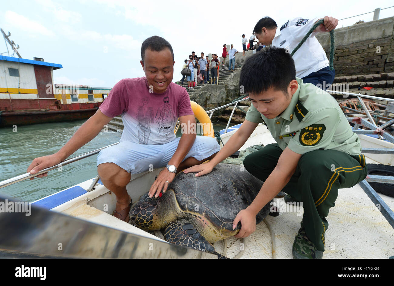 Fuqing, China's Fujian Province. 8th Sep, 2015. A accidentally-caught ...