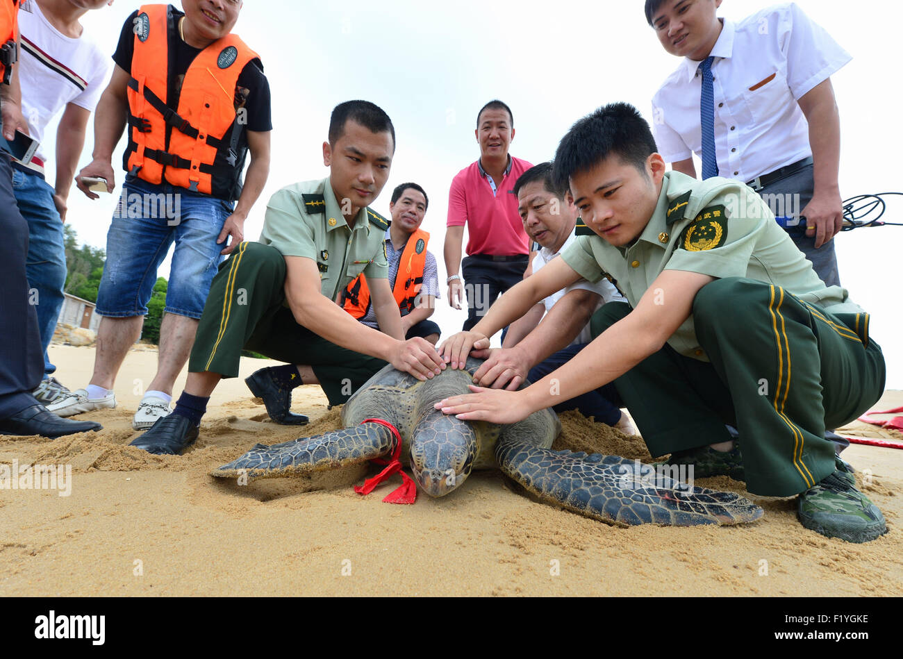 Fuqing, China's Fujian Province. 8th Sep, 2015. An accidentally-caught ...