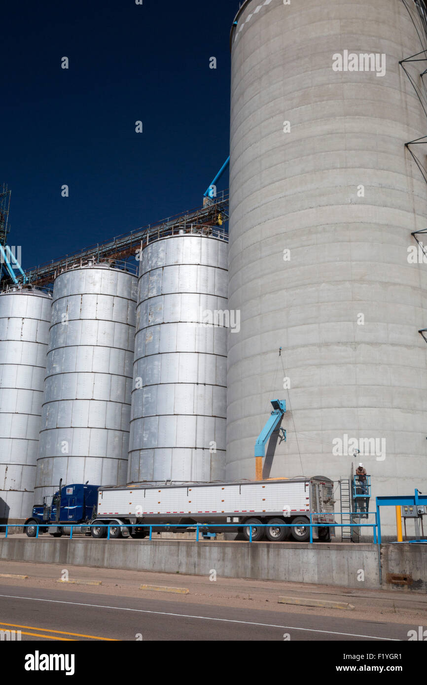 Chapman, Nebraska - A truck is loaded at a grain elevator Stock Photo ...