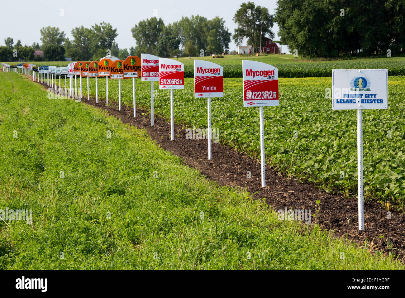 Forest City, Iowa - Signs mark different crop varieties in a soybean ...