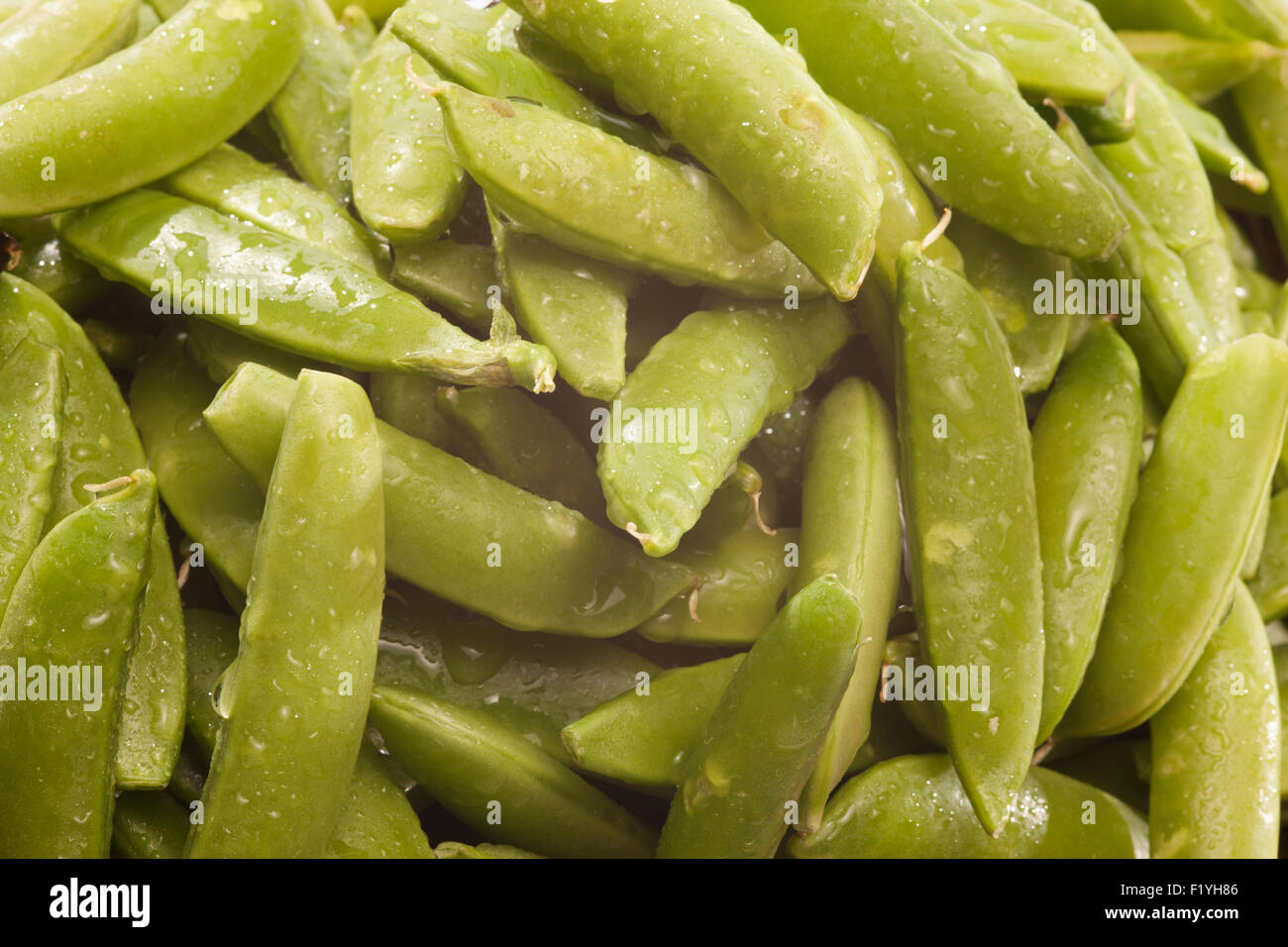 Snap Pea,Canada,Close Up,Still Life Stock Photo - Alamy