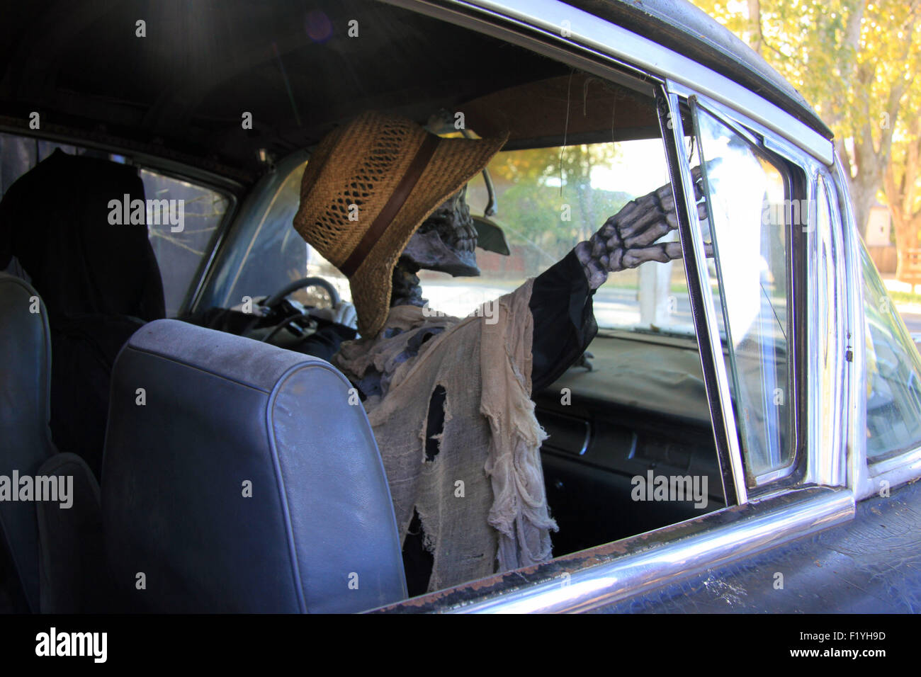 Skeleton woman in front seat of hearse Stock Photo - Alamy