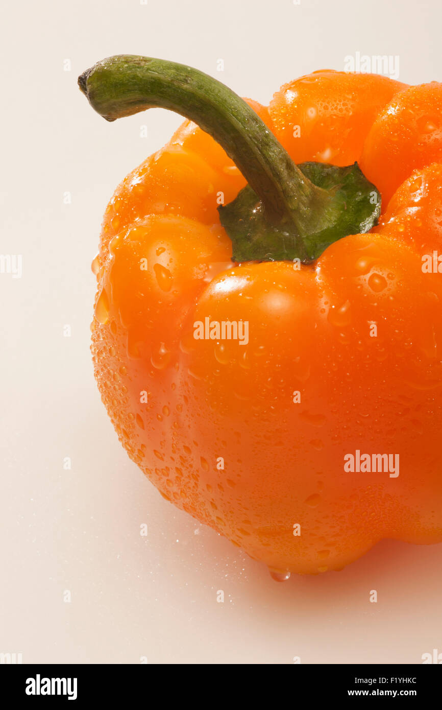 Close Up,Bell Pepper,Orange,Canada,Still Life Stock Photo - Alamy
