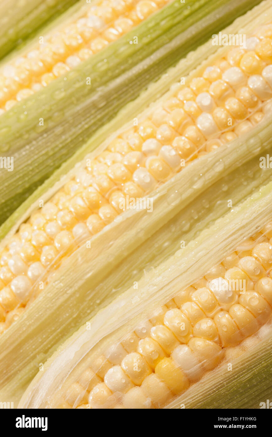 Canada,Still Life,Corn On The Cob,Sweet Corn Stock Photo - Alamy
