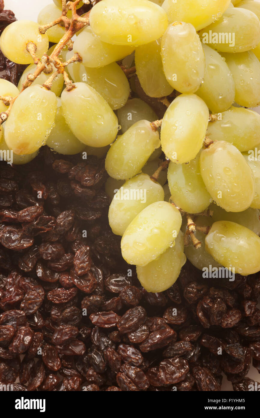 Canada,Grape,Close Up,Still Life,Raisin Stock Photo - Alamy
