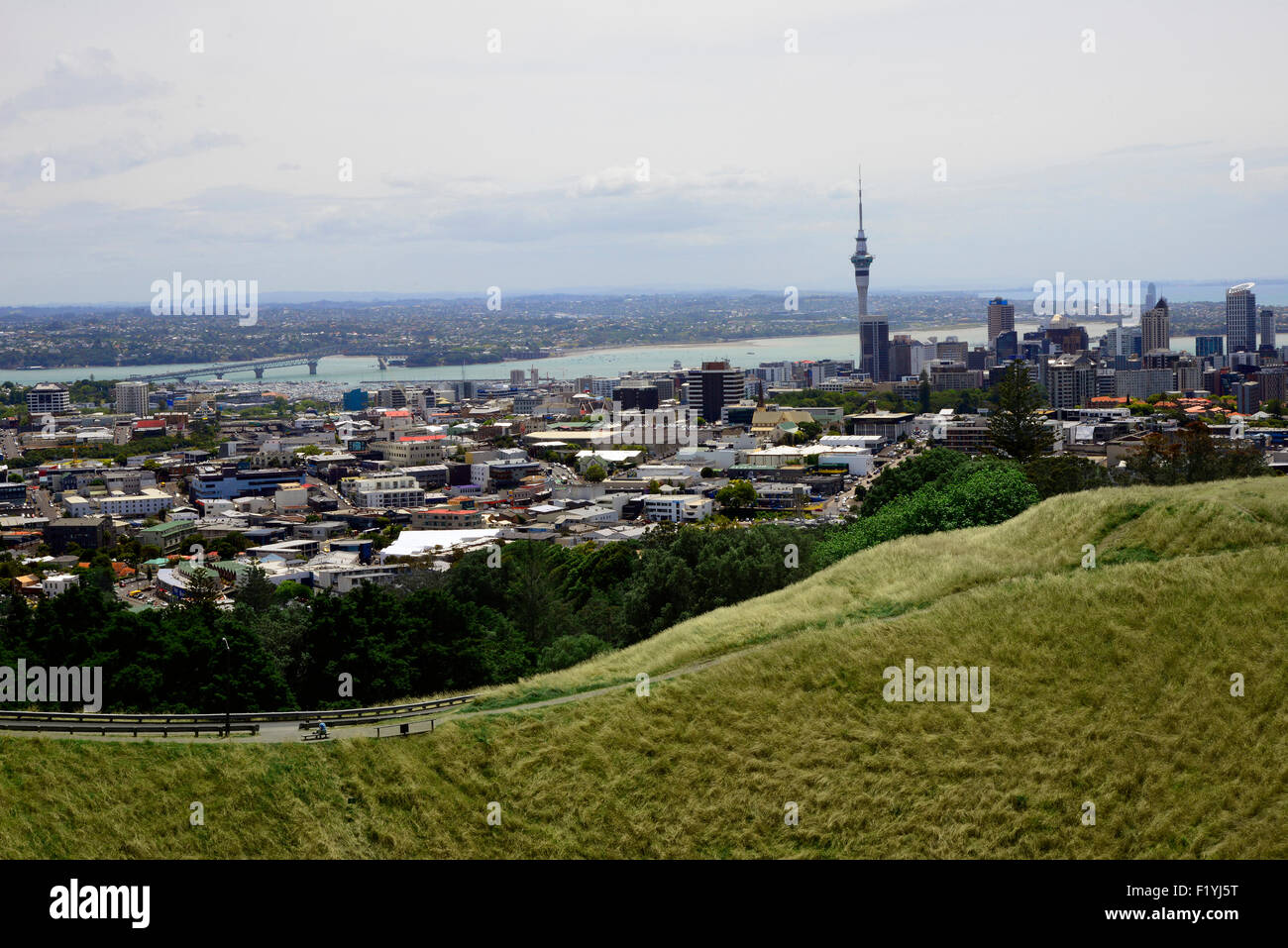 One tree point new zealand hi-res stock photography and images - Alamy