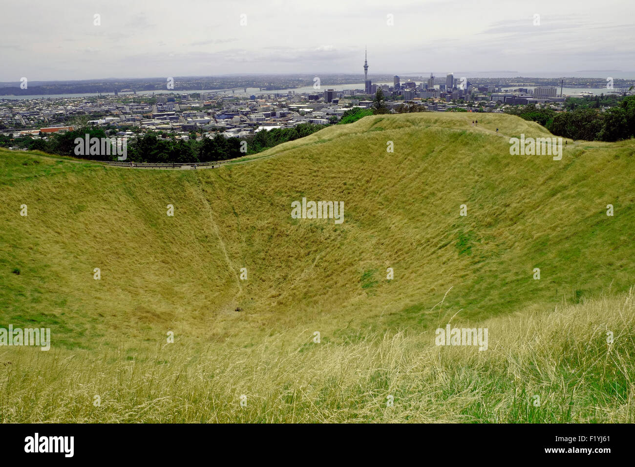 Mount Eden One Tree Hill View of Auckland New Zealand, NZ, North Island ...