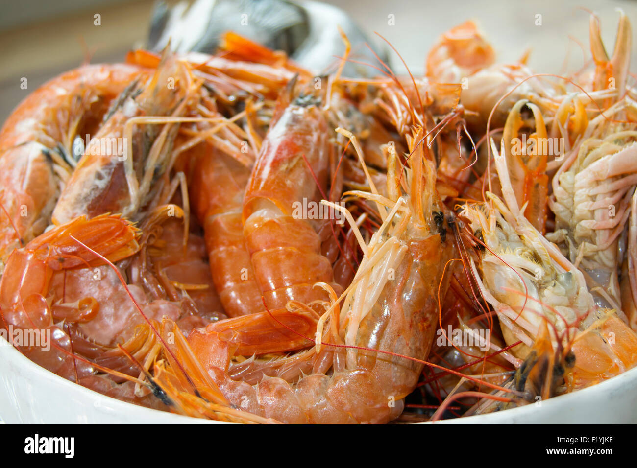imperial red prawns of mazzara in the mediterranean sea Stock Photo - Alamy