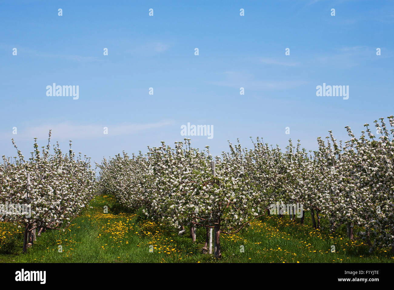 Paul orchard hi-res stock photography and images - Alamy