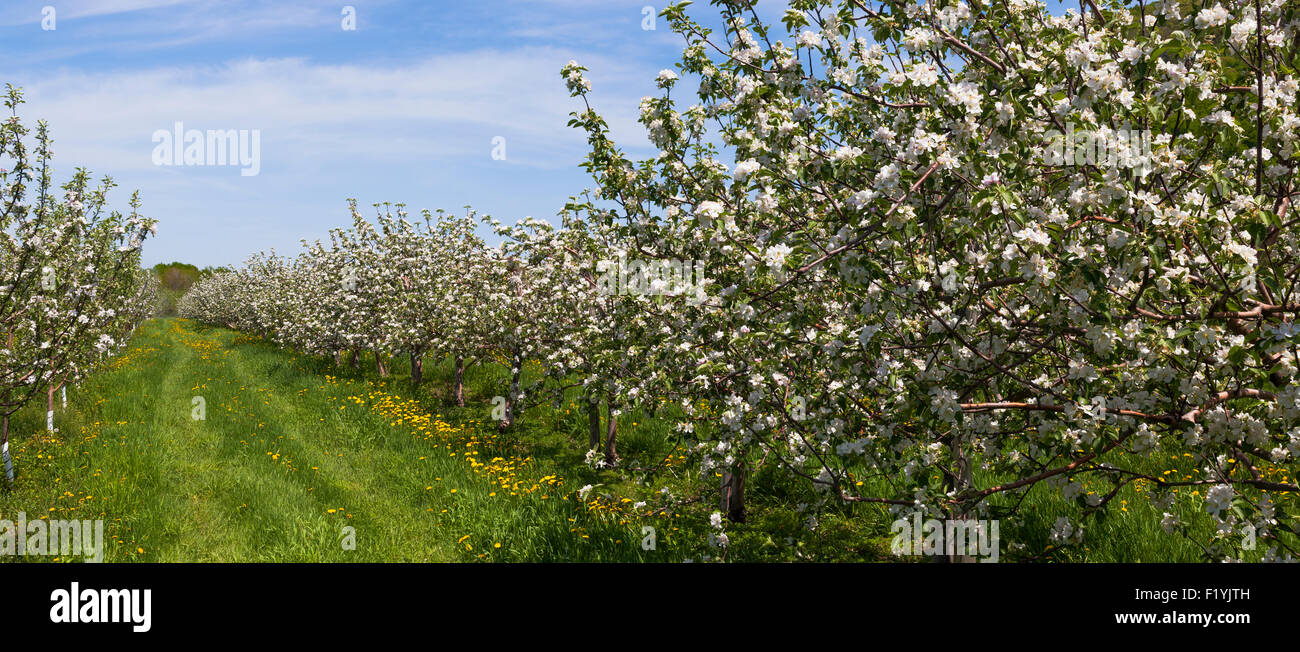 Paul orchard hi-res stock photography and images - Alamy