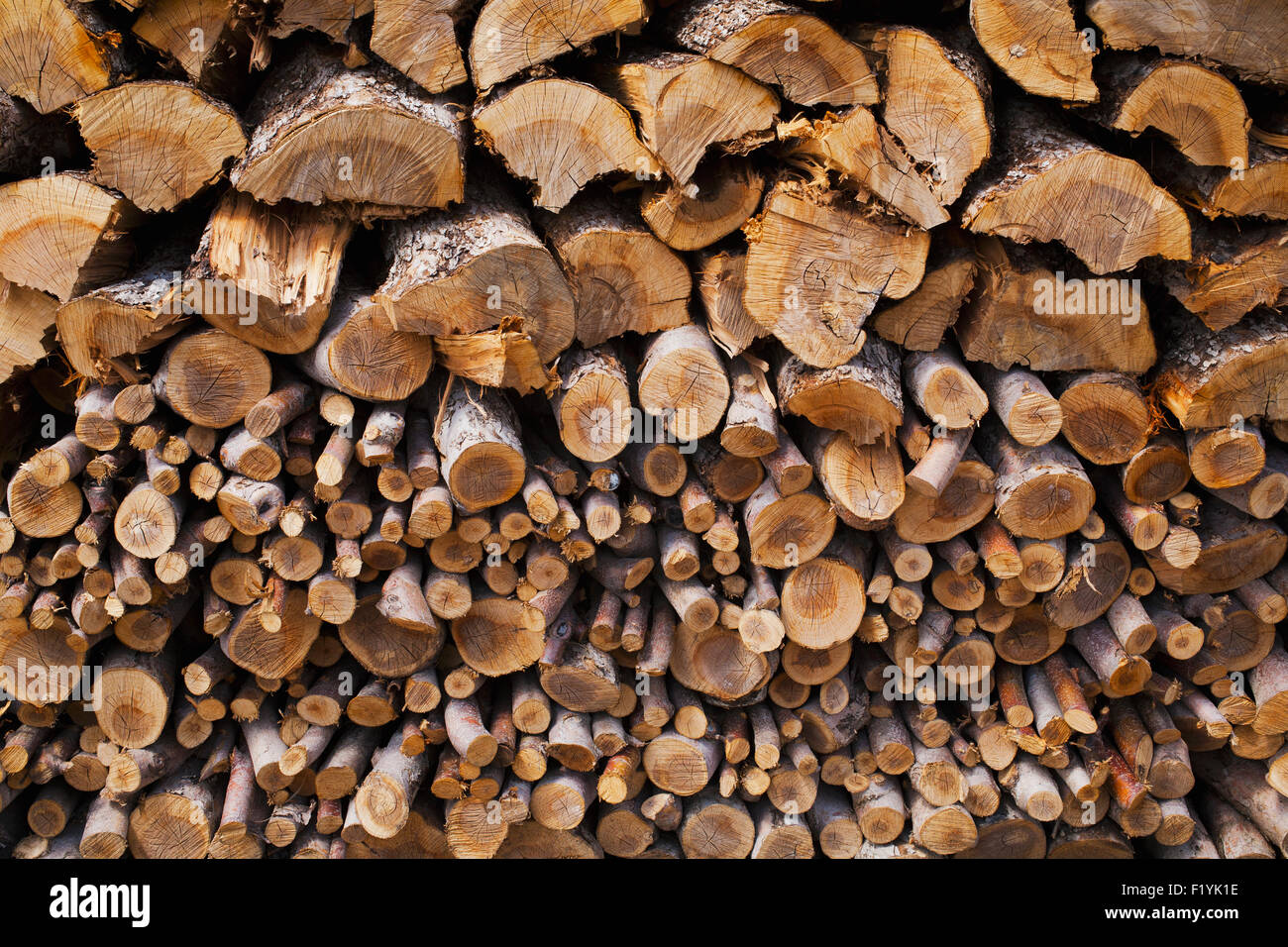 Log frame hi-res stock photography and images - Alamy