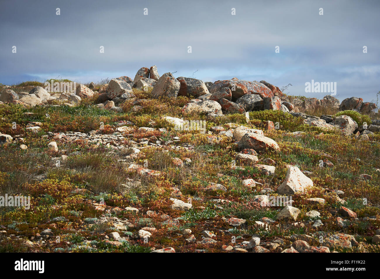 Cambridge bay nunavut hi-res stock photography and images - Alamy