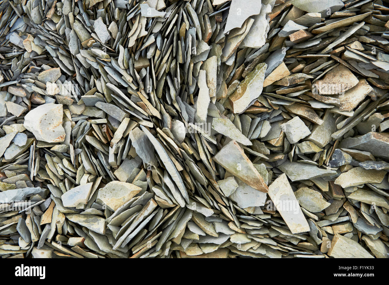 Canada,Nunavut,Close Up,Rock,Arctic Ocean Stock Photo - Alamy