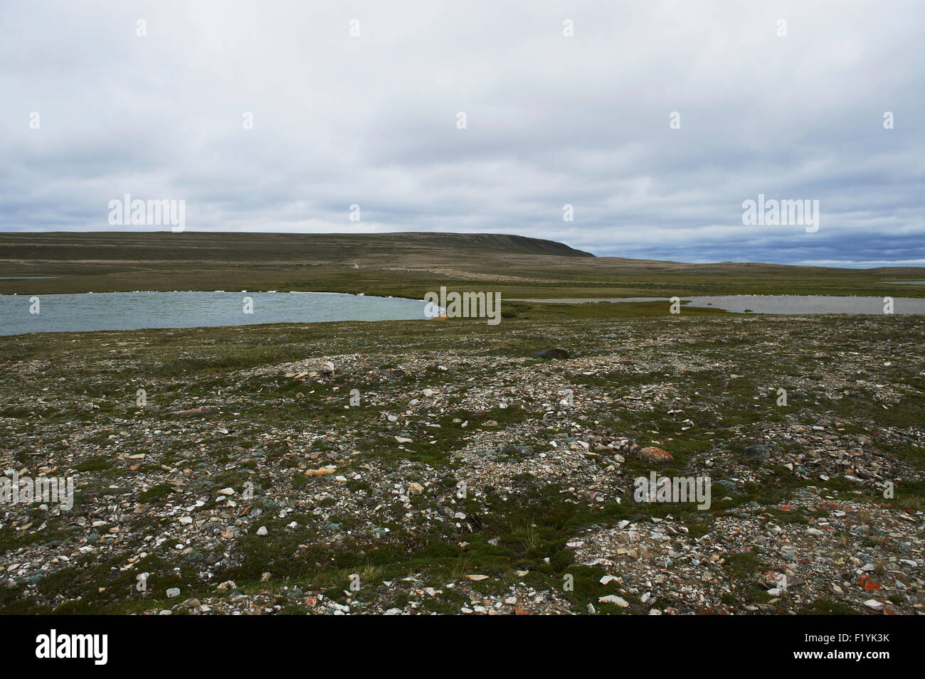 Canada,Nunavut,Arctic Ocean,Mount Pelly Stock Photo - Alamy