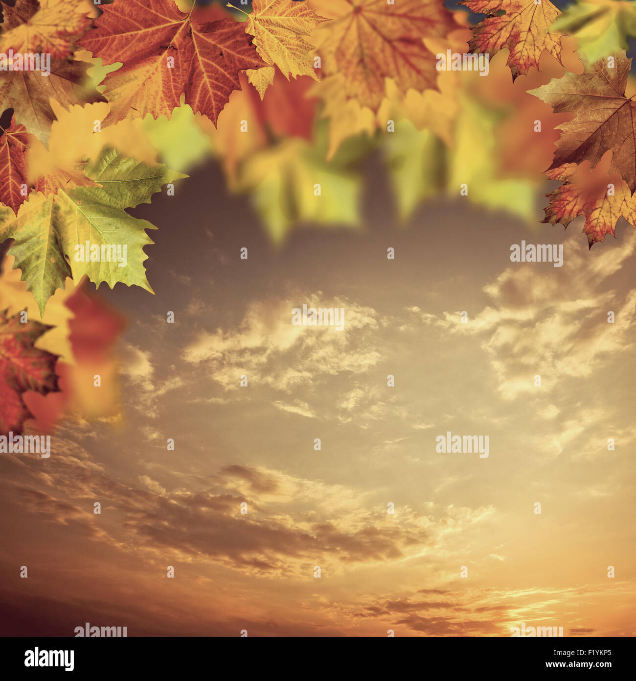 Neutral backgrounds hi-res stock photography and images - Alamy