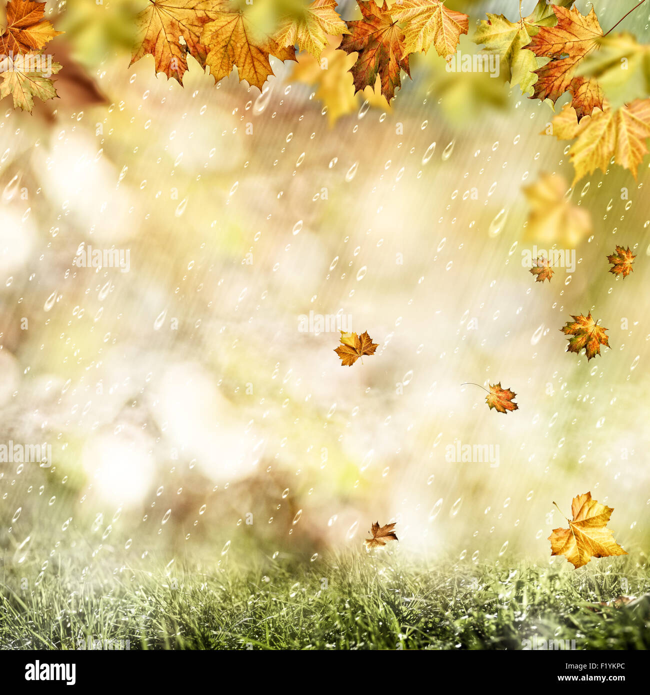 Autumn rain. Abstract seasonal backgrounds with fall and water drops ...