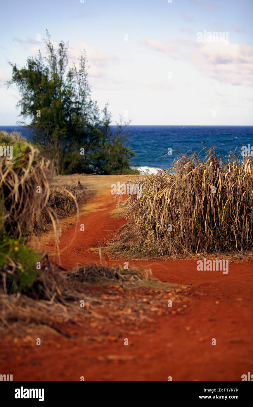 Mahalo beach hi-res stock photography and images - Alamy